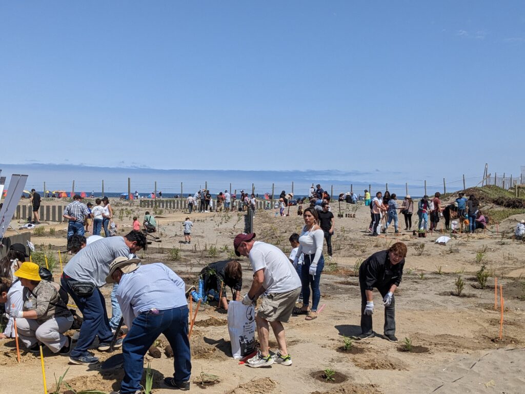 Fundación Junto al Barrio | 1.000 Plantas para Nuestro Humedal